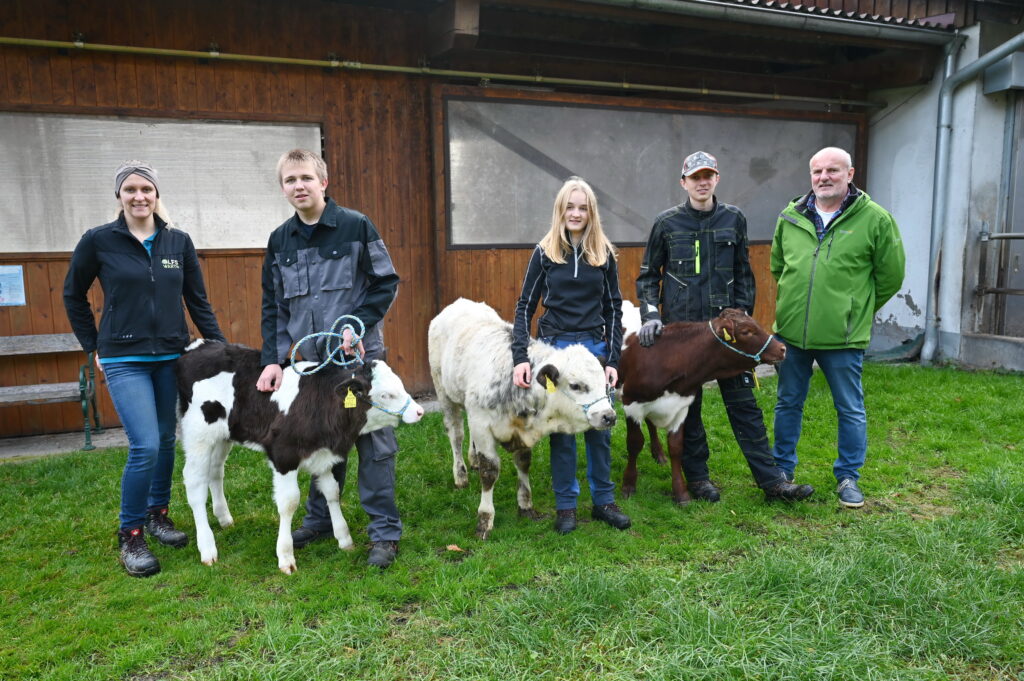 Neue Rinderrassen im Lehrstall | LFS Warth